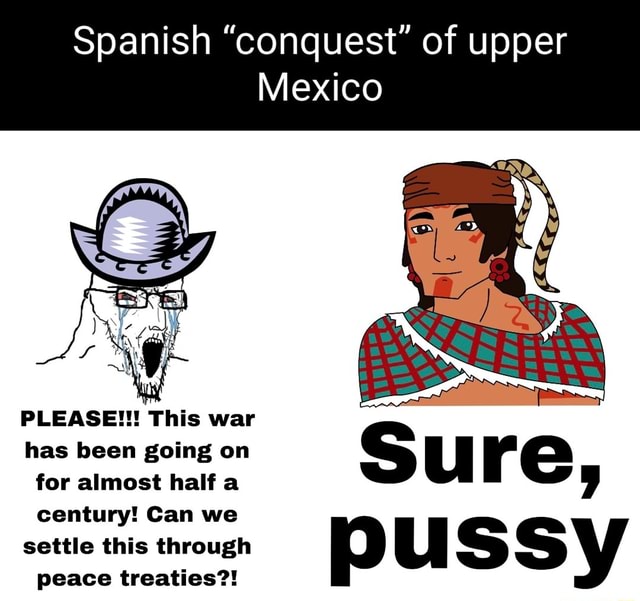 Spanish "conquest" of upper Mexico PLEASE!!! This war has been going on ...