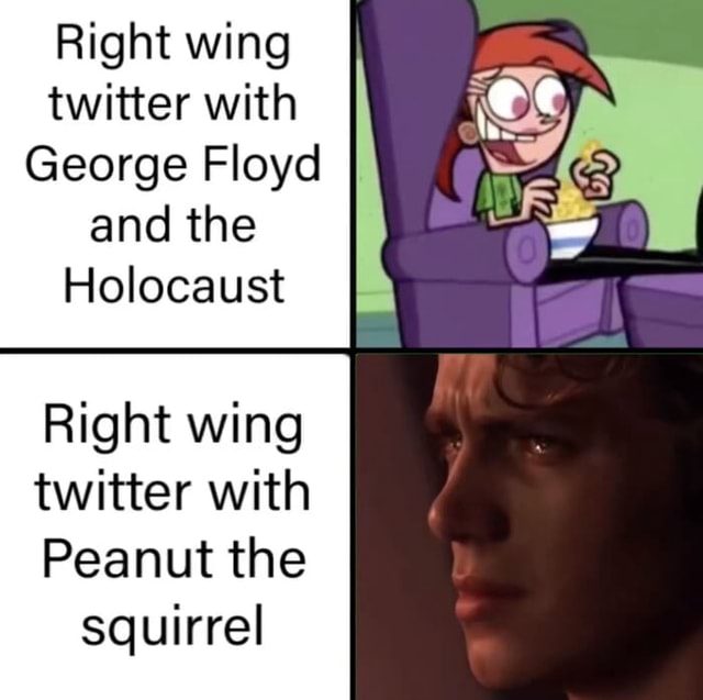 Right wing twitter with George Floyd and the Holocaust Right wing ...