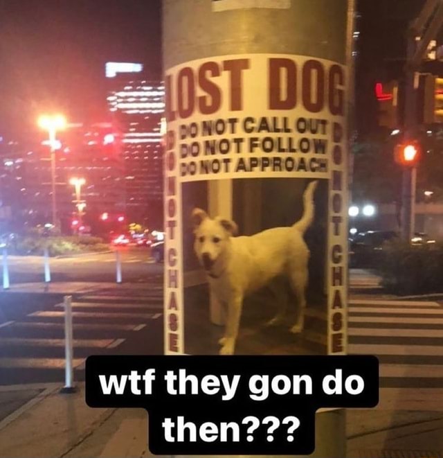 Ad wtf they gon do then??? - iFunny