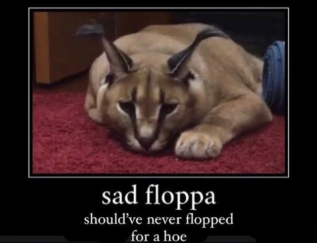 Sad floppa should've never flopped for a hoe - iFunny