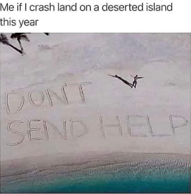 Me if I crash land on a deserted island this year - iFunny