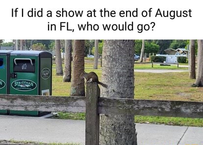 If I did a show at the end of August in FL, who would go? - iFunny