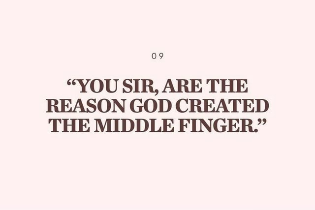 "YOU SIR, ARE THE REASON GOD CREATED THE MIDDLE FINGER." - America’s ...