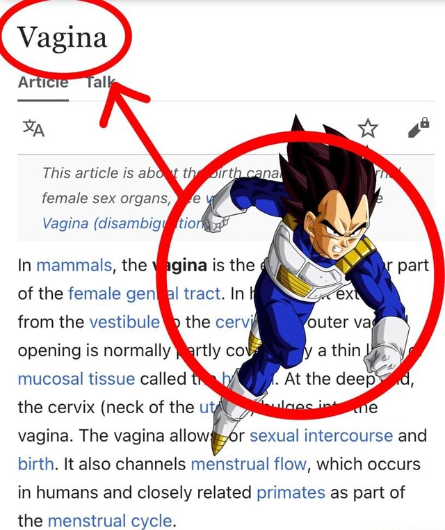 Female sex organs, Vagina (disambig: mucosal tissue called in the ...