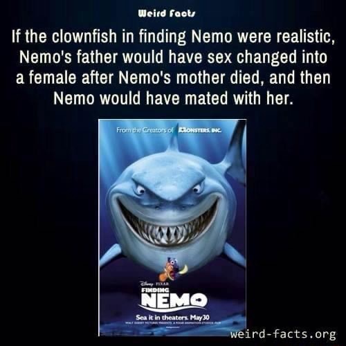 Weird Facts If the clownfish in finding Nemo were realistic, Nemo's ...