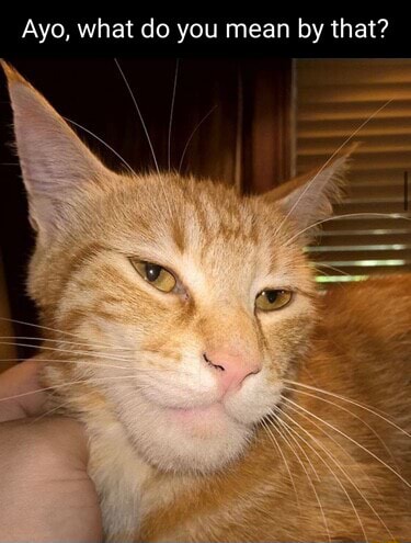 Ayo, what do you mean by that? - iFunny