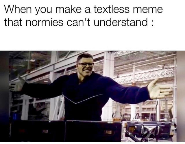 When you make a textless meme that normies can't understand : - iFunny