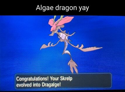 Algae dragon yay Congratulations! Your Skrelp evolved into Dragalge ...