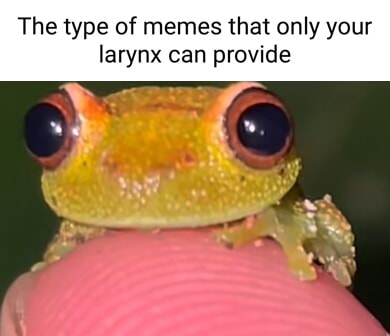 The type of memes that only your larynx can provide - iFunny