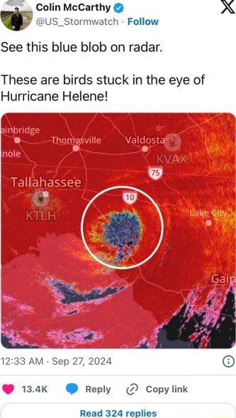 Colin McCarthy @ X stormictch rotiow See this blue blob on radar. These ...