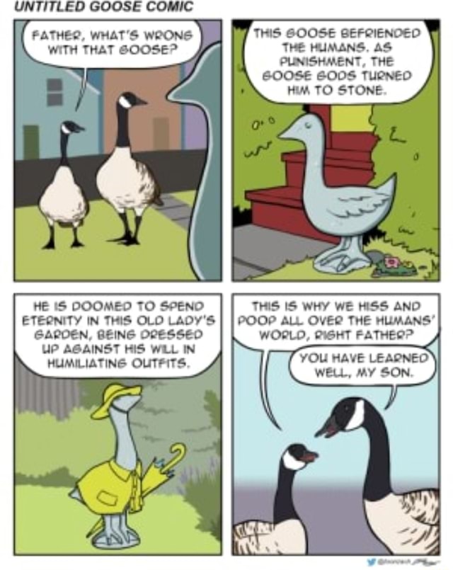 UNTITLED GOOSE COMIC PATHE?, WHAT'S WRONG WITH THAT GOOSE? HE IS DOOMED ...