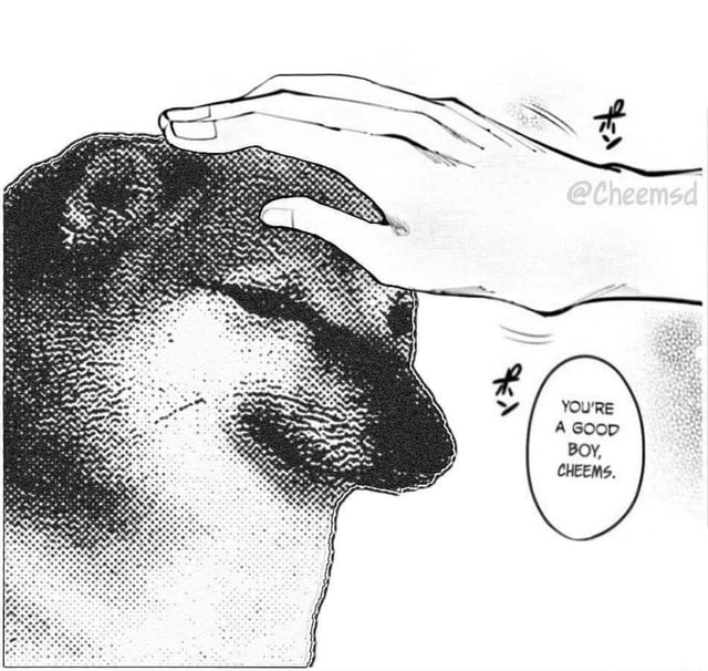 YOU'RE A GooD Boy, CHEEMS. - iFunny