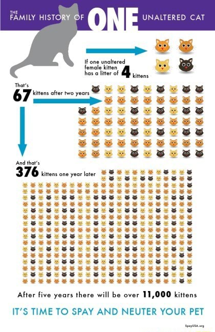 UNALTERED CAT of FAMILY HISTORY OF 67 'And that's 2999999999 9999 990% ...