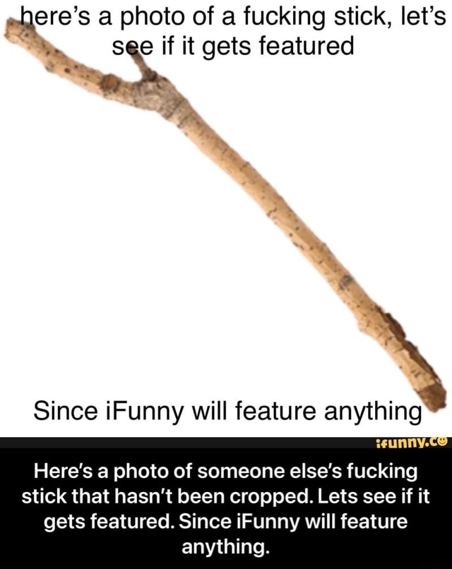 Erecting a meme here. - here's photo of a fucking stick, let's See if ...