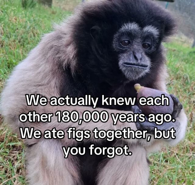 We actually knew each other 180,000 years ago. We ate figs together ...
