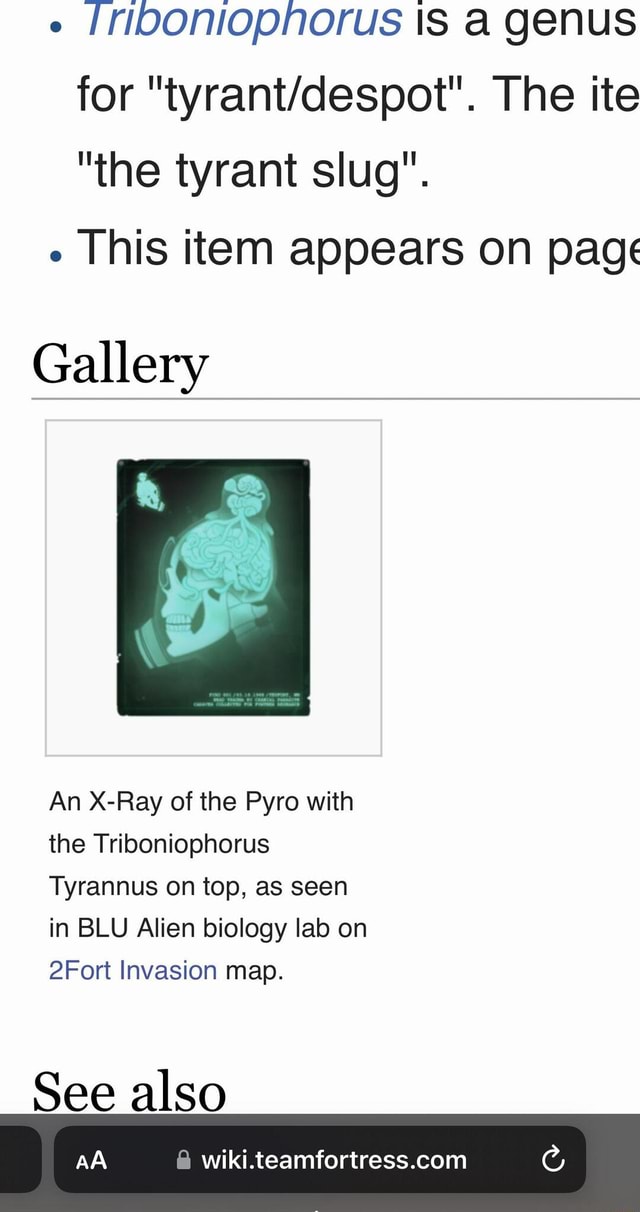 Alien theory (maybe) no more! - /riboniopnhorus IS a genus for ...