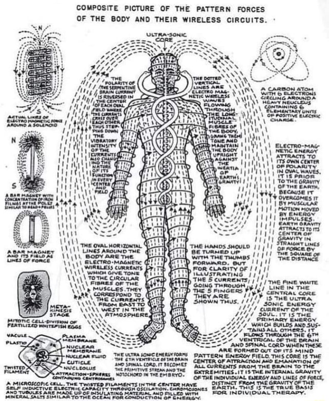 COMPOSITE PICTURE OF THE PATTERN FORCES OF THE BODY ANO THEIR WIRELESS ...
