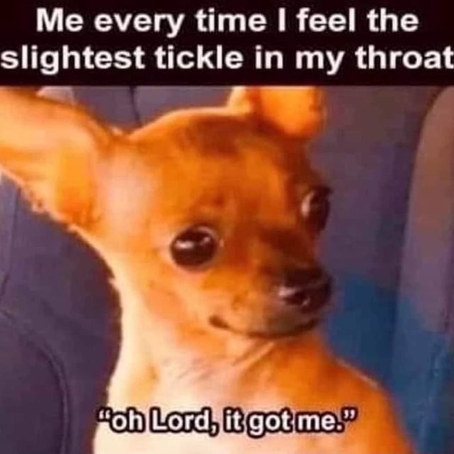 Me every time feel the slightest tickle in my throat - America’s best ...