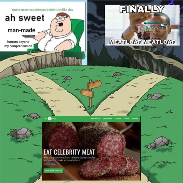 Exper lite MEATLOAF MEATLOAF ah sweet man-made horrors beyond my ...