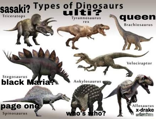 Sasaki? Types of Dinosaurs queen Brachiosaurus Triceratops ...