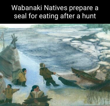 Wabanaki Natives prepare a seal for eating after a hunt - iFunny