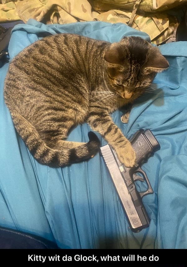 Kitty wit da Glock, what will he do - Kitty wit da Glock, what will he ...