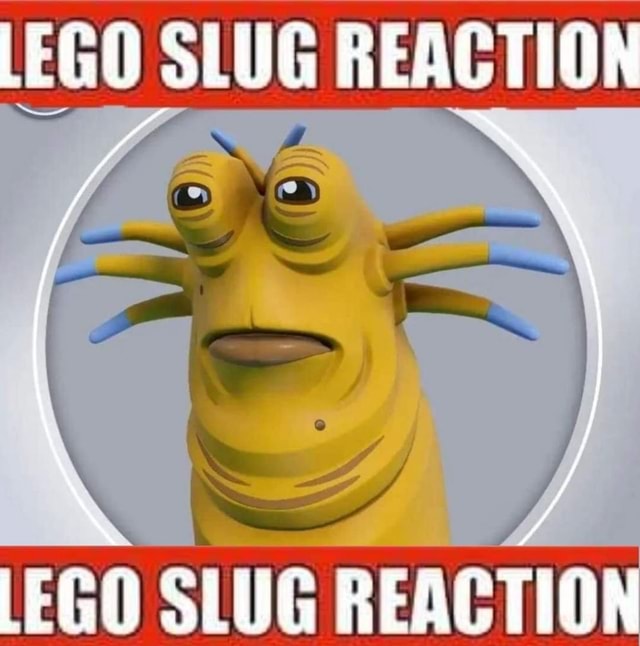 EGO SLUG REACTION SLUG REACTION - iFunny