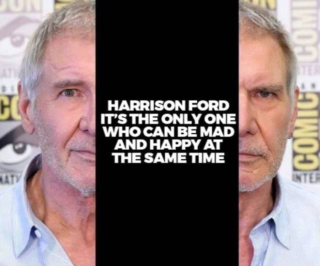 HARRISON FORD IT'S THE ONLY ONE WHO CAN BE MAD AND HAPPY AT THE SAME ...
