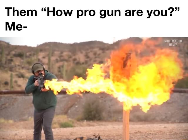 Them "How pro gun are you?" Me- MUH FREEDOM MEMES - iFunny