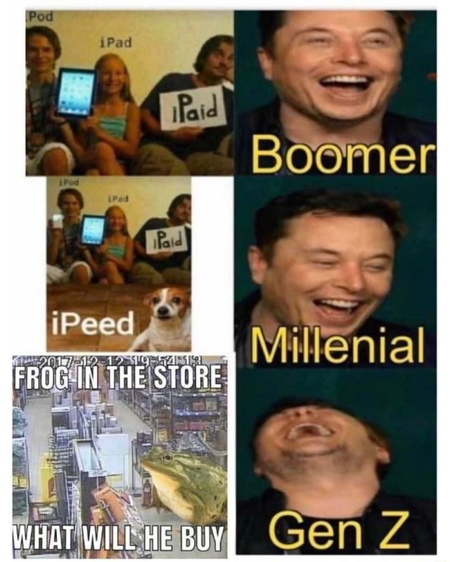 FROG IN THE STORE - iFunny