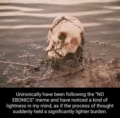 Unironically have been following the "NO EBONICS" meme and have noticed ...