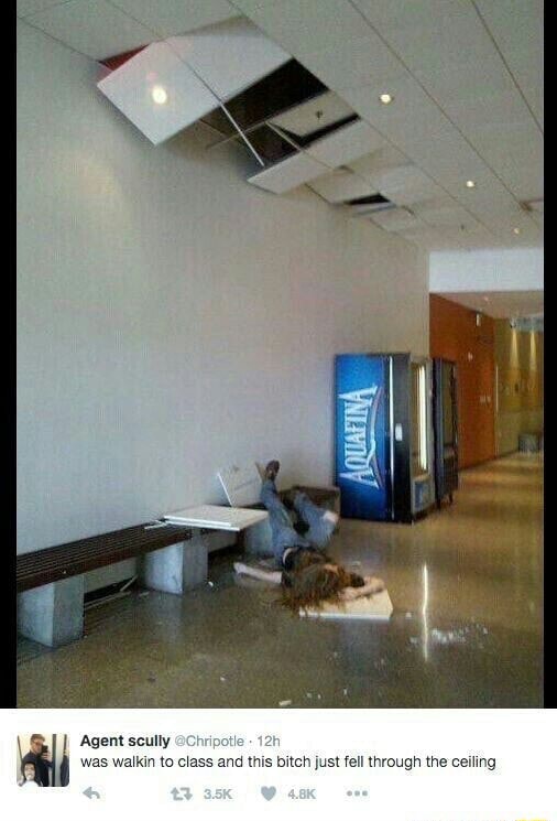 Agent scully was walkin to class and this bitch just fell through the ...