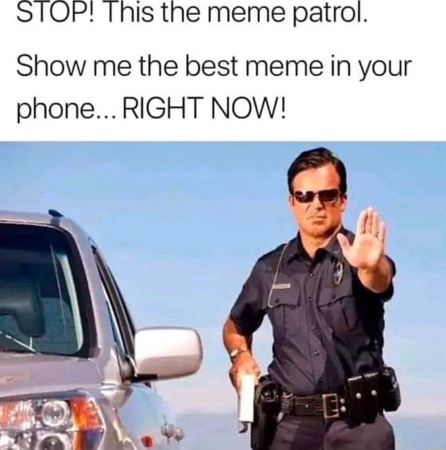 STOP! This the meme patrol. Show me the best meme in your phone ...