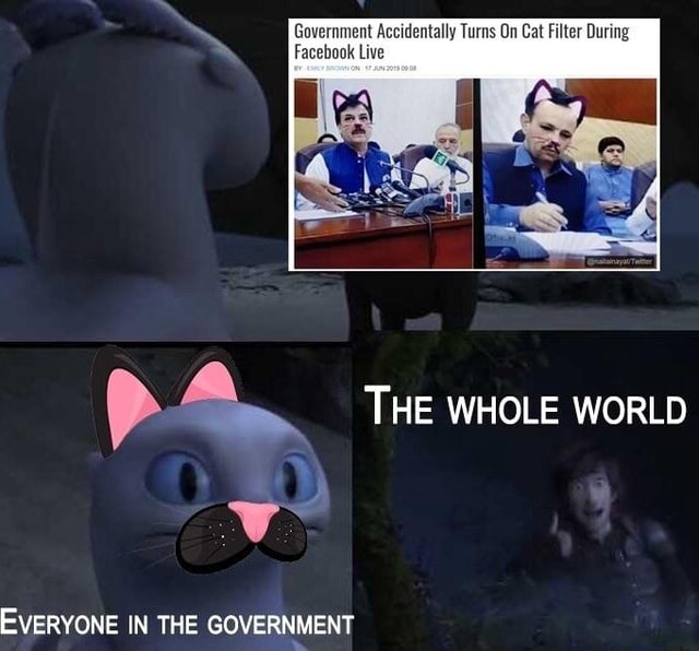 Government Accidentally Turns On Cat Filter During Facebook Live THE ...