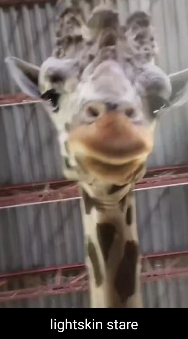 Lightskin stare - iFunny