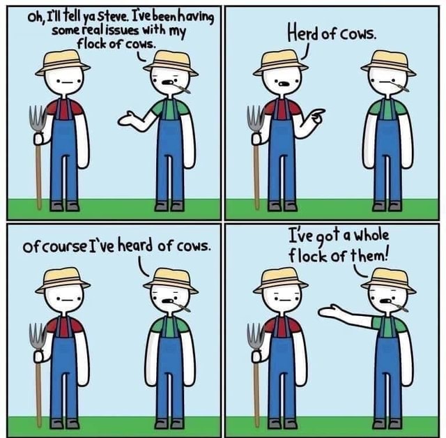 Oh, YI Tell ya Steve. Ivebeenhaving sone teal issues with my IAS - iFunny