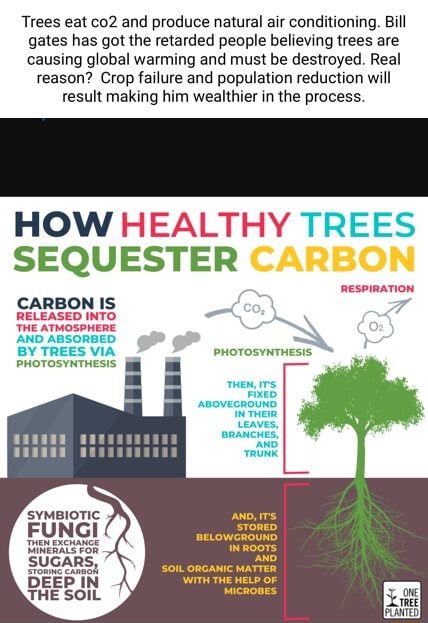 Trees eat and produce natural air conditioning. Bill gates has got the ...