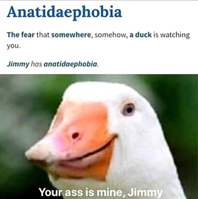 Anatidaephobia The fear that somewhere, somehow, a duck is watching you ...