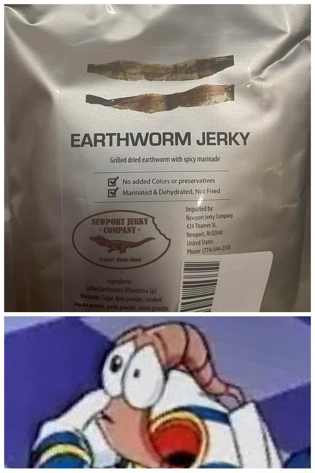 EARTHWORM JERKY Grilled dried earthworm with spicy marinade lo added ...