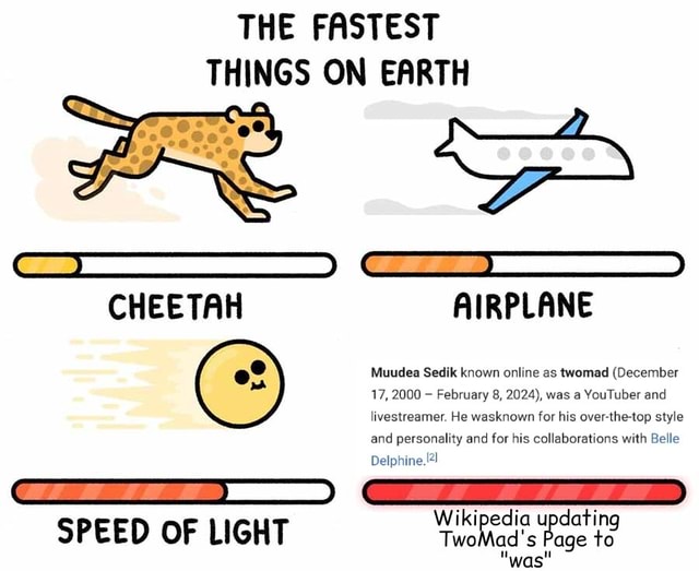 THE FASTEST THINGS ON EARTH CHEETAH AIRPLANE Muudea Sedik known online ...