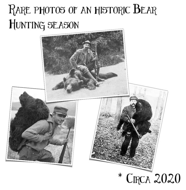 RARE PHOTOS OF AN HISTORIC BEAR HUNTING SEASON * Circa 2020 - iFunny