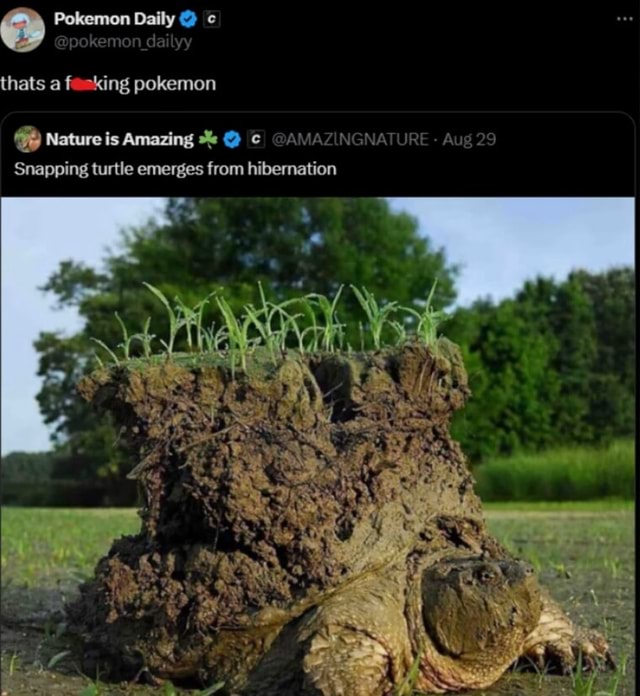 Pokemon Daily @ thats a -king pokemon Nature is Amazing @ AMA Snapping ...