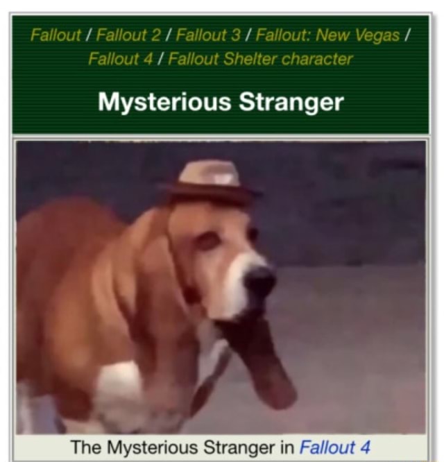 Mysterious Stranger The Mysterious Stranger in Fallout 4 - iFunny