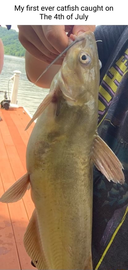 My first ever catfish caught on The &th of July - iFunny
