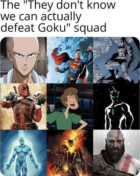 "Tey cont know we can actually defeat Goku" squad - iFunny