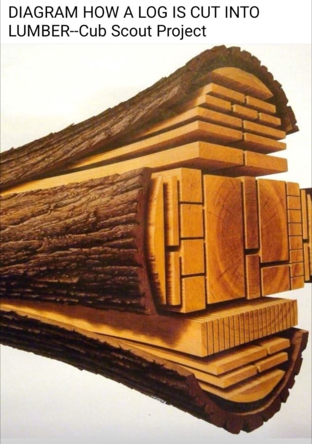 DIAGRAM HOW A LOG IS CUT INTO Scout Project - America’s best pics and ...