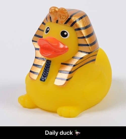 Daily duck '!" - Daily duck 🦆 - iFunny