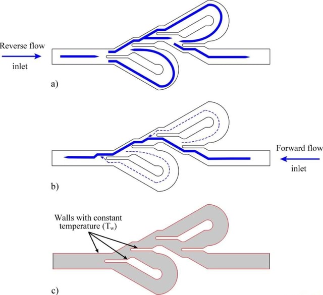 Reverse flow inlet Forward flow inlet Walls with constant temperature ...