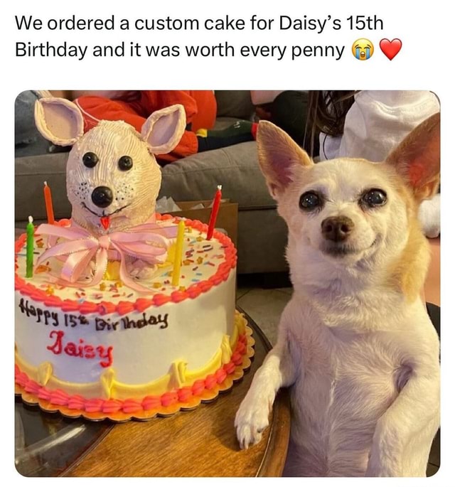 Theyre identical memes explore funny wholesome photography - We ordered ...