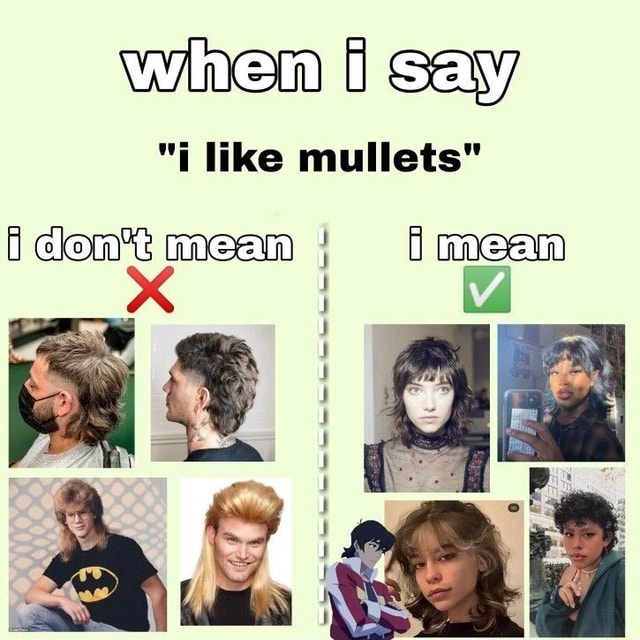 When Seyyv like mullets" mean I mean - iFunny
